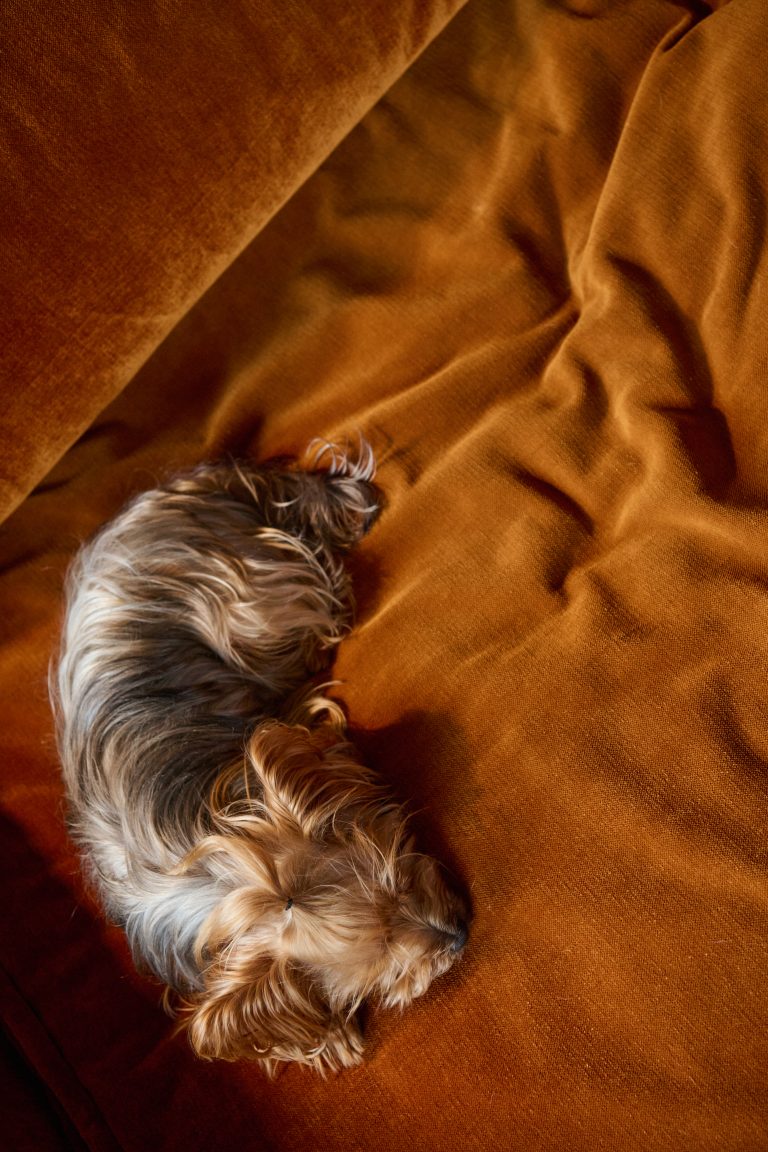 domingo – domingo Inmobiliaria